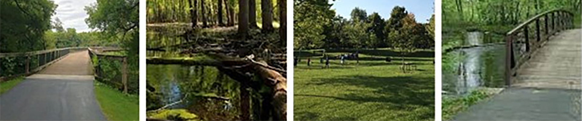 Maple Grove Half Marathon